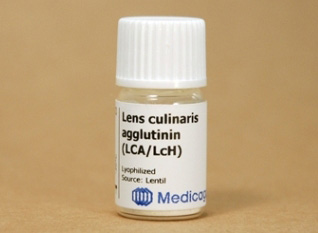 Lens Culinaris Lectin (LCA/LcH) (100 mg) | Aniara Diagnostica, Inc.
